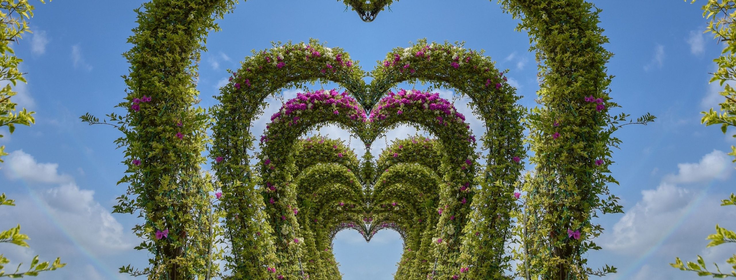 Creating Your New World (Conversation with my Guides) - Amanda Shertzer