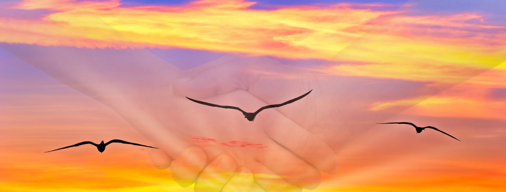 Working Together Through Transition (Channeled) - Amanda Shertzer