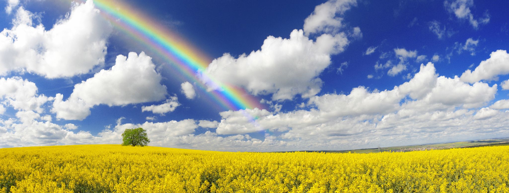 Start Manifesting Good Things (Channeled) - Amanda Shertzer