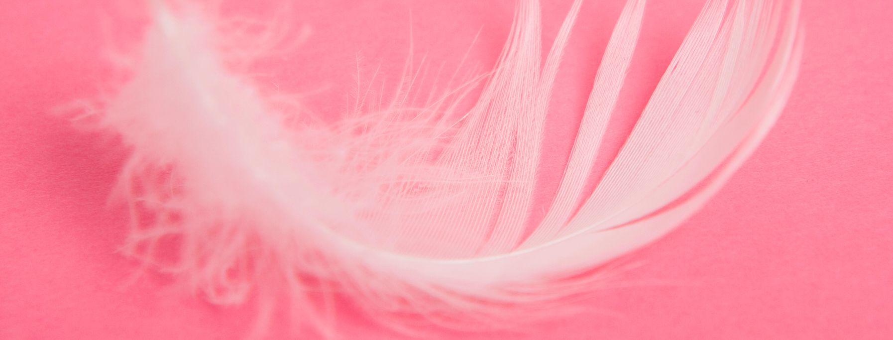 Unlocking Your Light (Channeled) - Amanda Shertzer