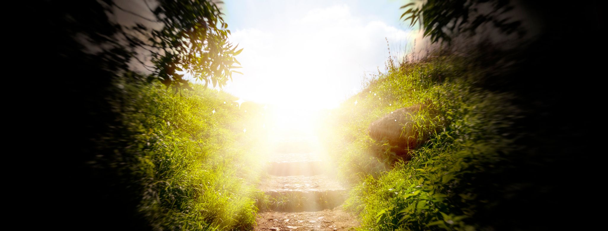 Creating Space for Light (Channeled) - Amanda Shertzer